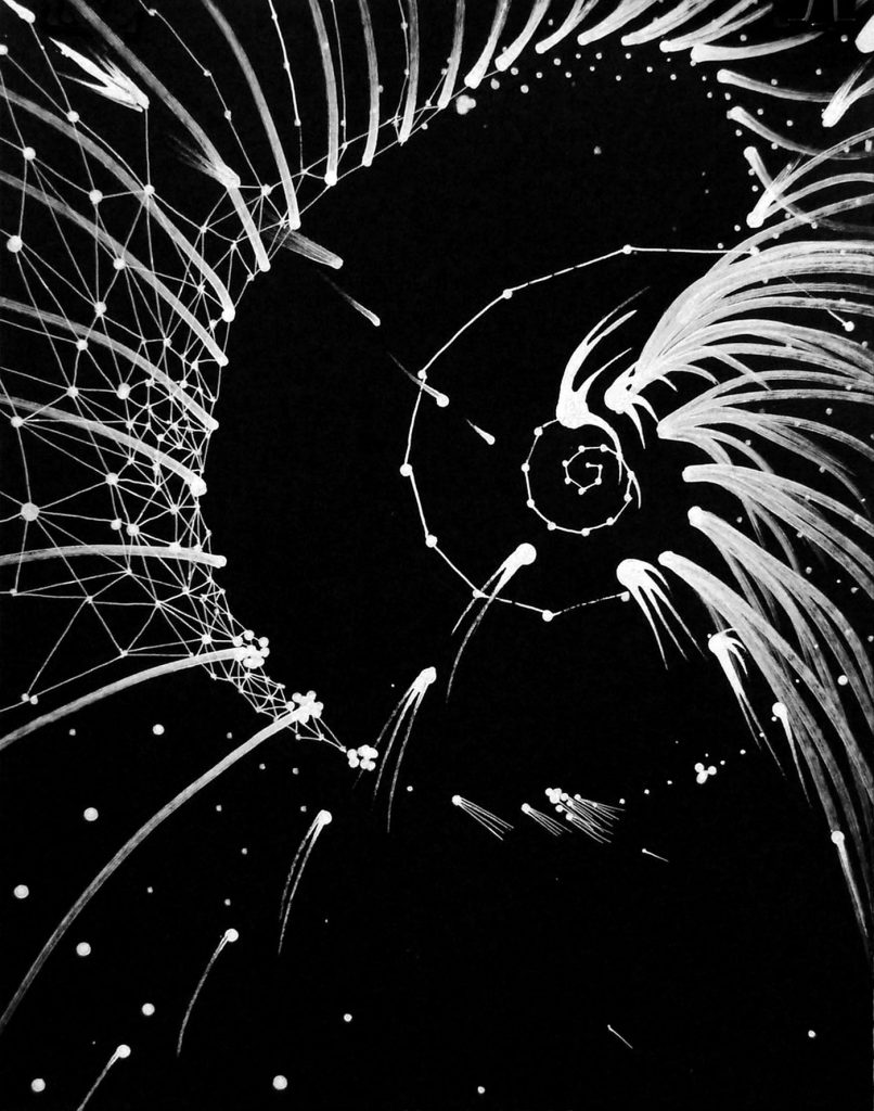 Fetalverse | Eva Lee