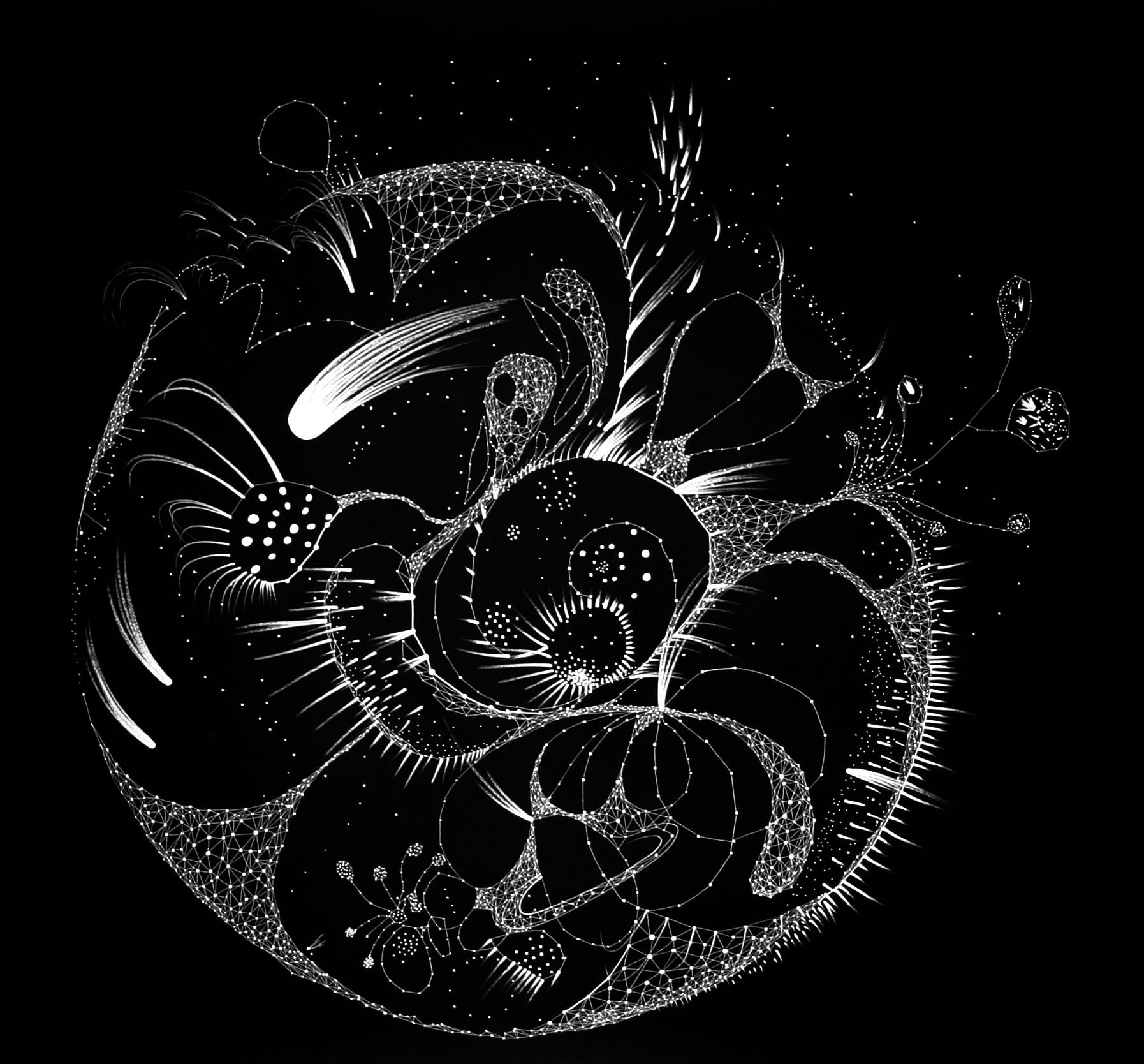 World Cell 2 | Eva Lee