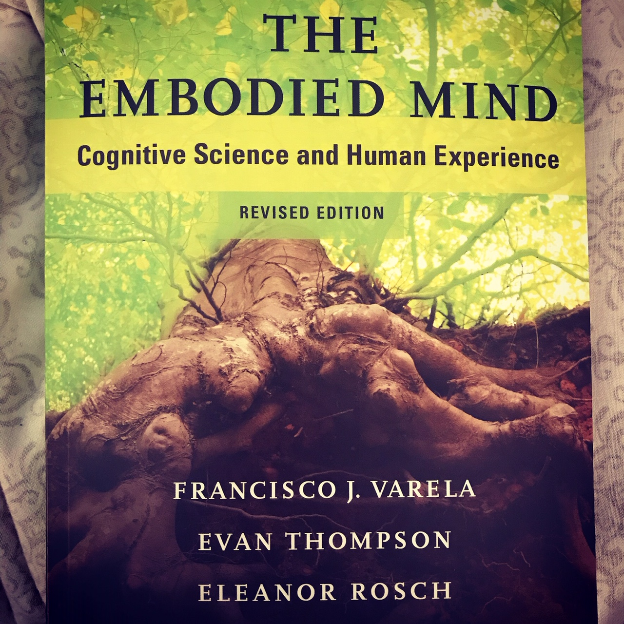 The Embodied Mind, David Chalmers, and Daniel Dennett | Eva Lee
